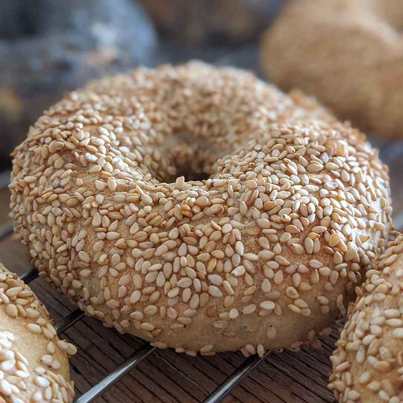 Seed Rich Roll – Pack of 6 – Cob Vienna